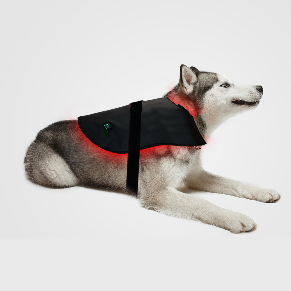 Pet Red Light Coat – Dog & Cat Wearable Wellness | ClinicPBM