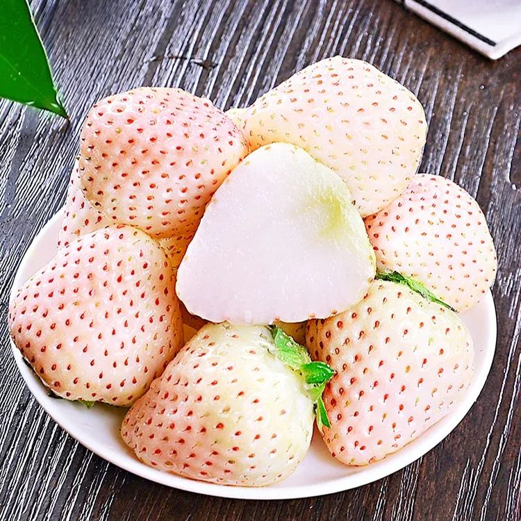 🎉Snow White Strawberries👸-First Love Strawberry Seeds🍓
