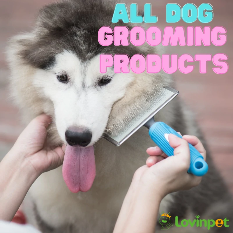 Professional Dog Grooming Kits, Scissors & Brushes | LovinPet – LovinPet