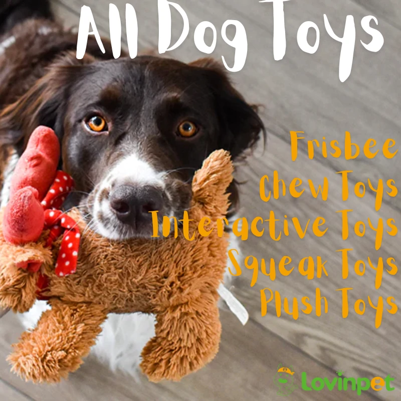 Fun Dog Toys - Chew, Interactive & Plush Toys | LovinPet – LovinPet
