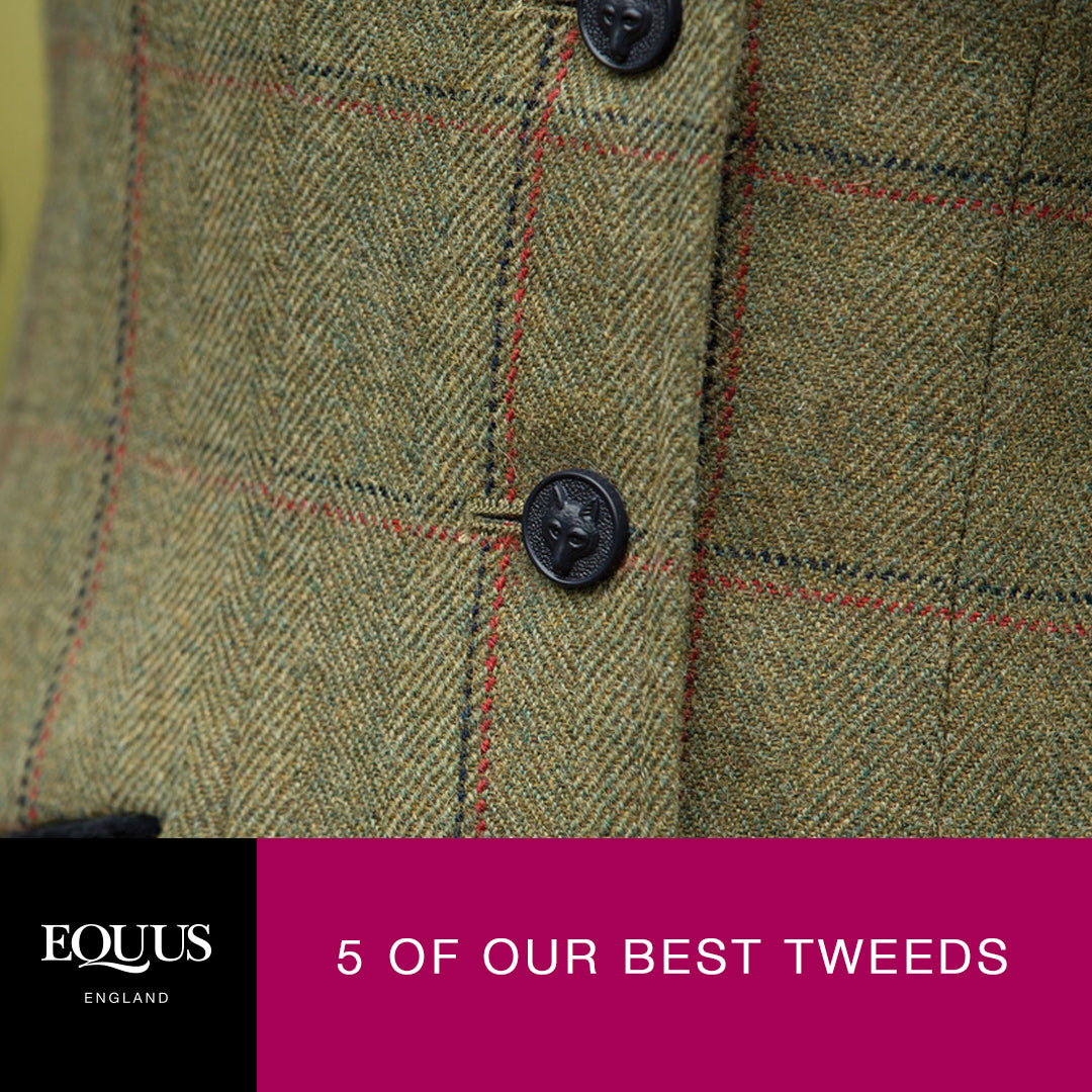 Look sharp in the Show Ring: 5 of our best tweeds