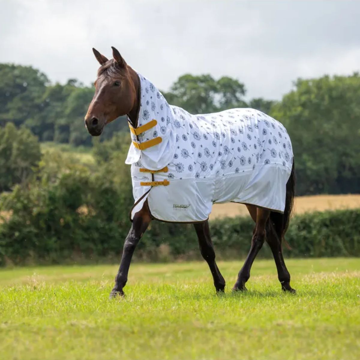 Equestrian Outlet Store | Clearance Equestrian Gear & Equipment | EQUUS