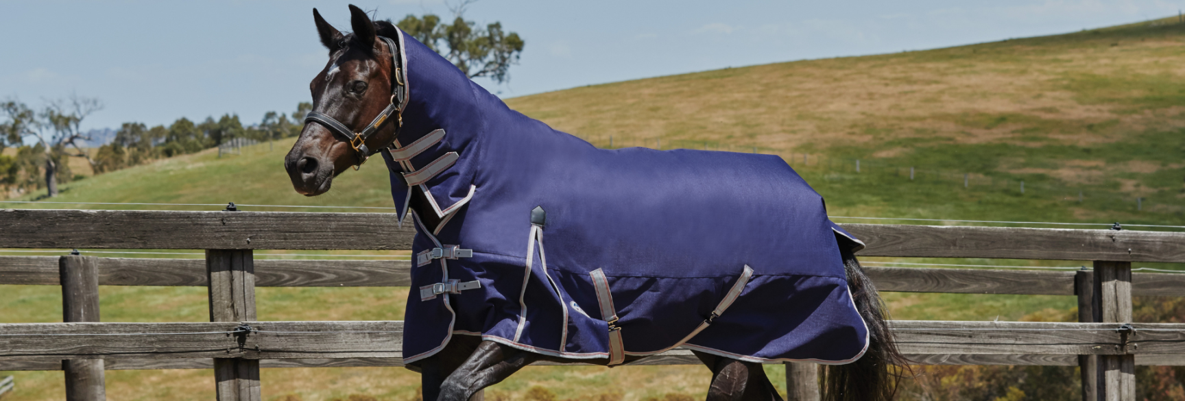 Shop equestrian clothing online. Best service & free UK delivery.