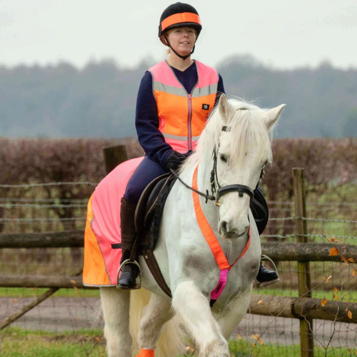 Equisafety | EQUUS