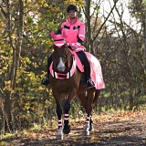 Equisafety Hi Viz Winter Wrap Around Sheet | Free UK Delivery