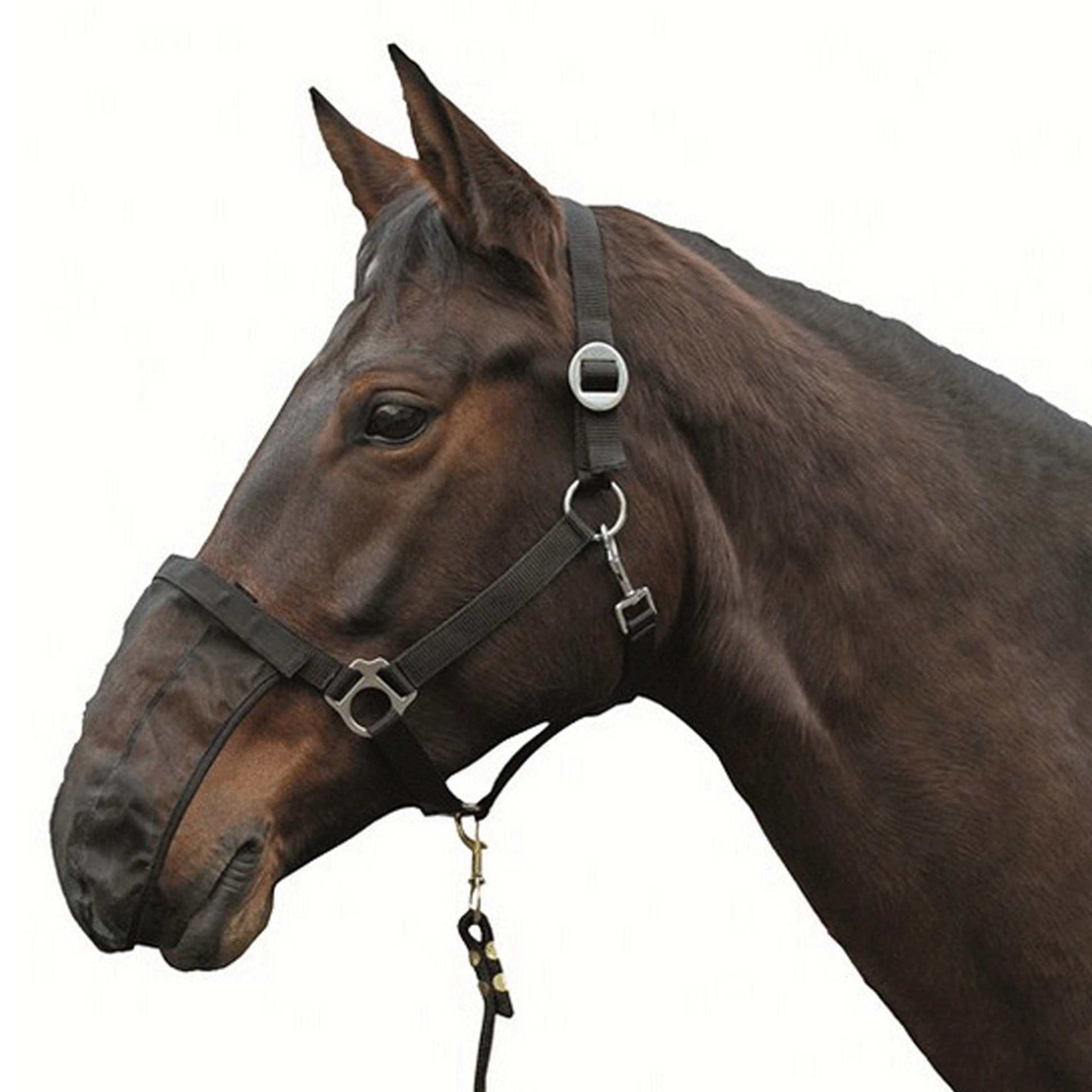 HKM Nose Net | Free UK Delivery