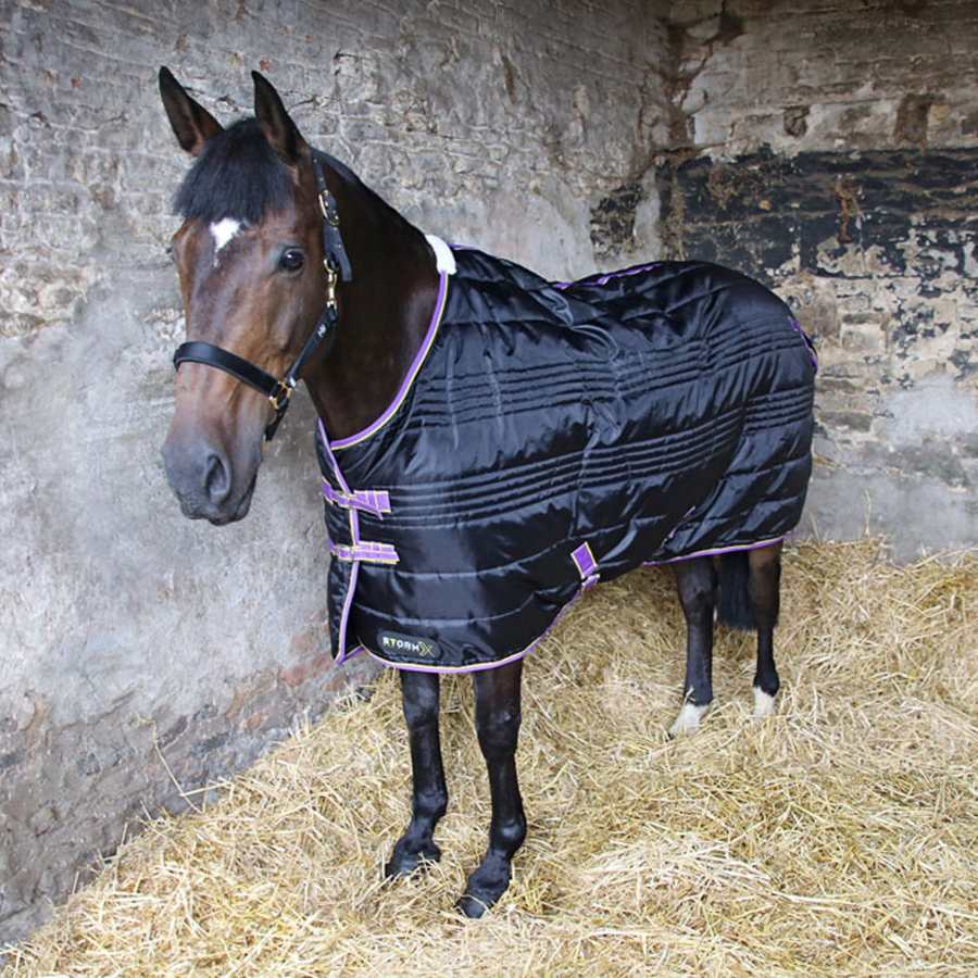 Stable Rugs | Horse Stable Rugs with Free UK Delivery* | EQUUS