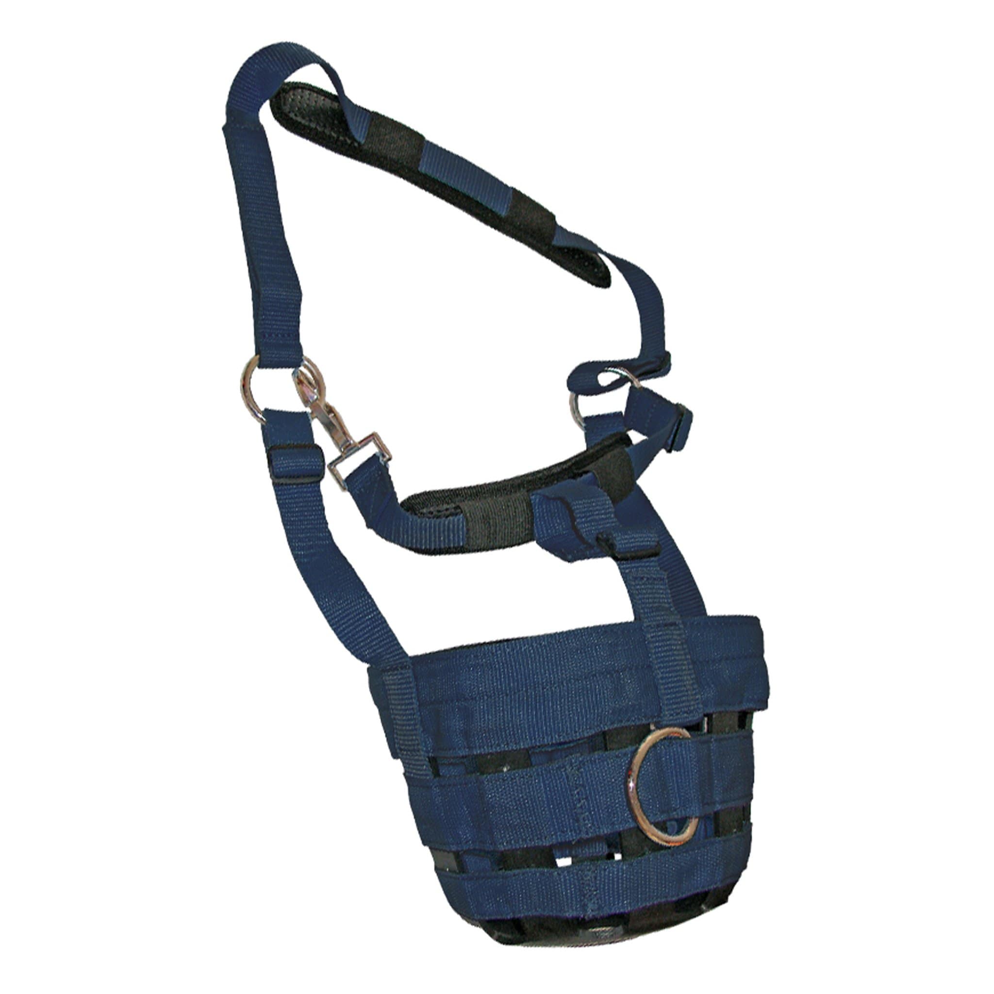 Grazing Muzzles | EQUUS