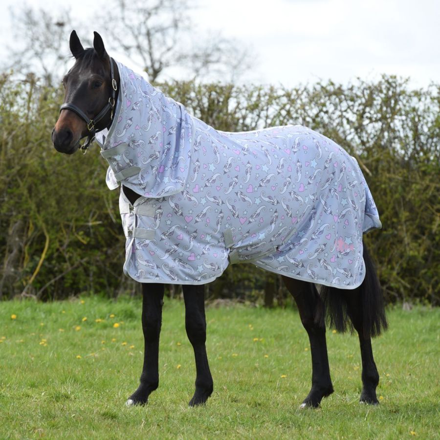 Horse Fly Rugs | Fly Rugs and Sweet Itch Rugs For Horses | EQUUS