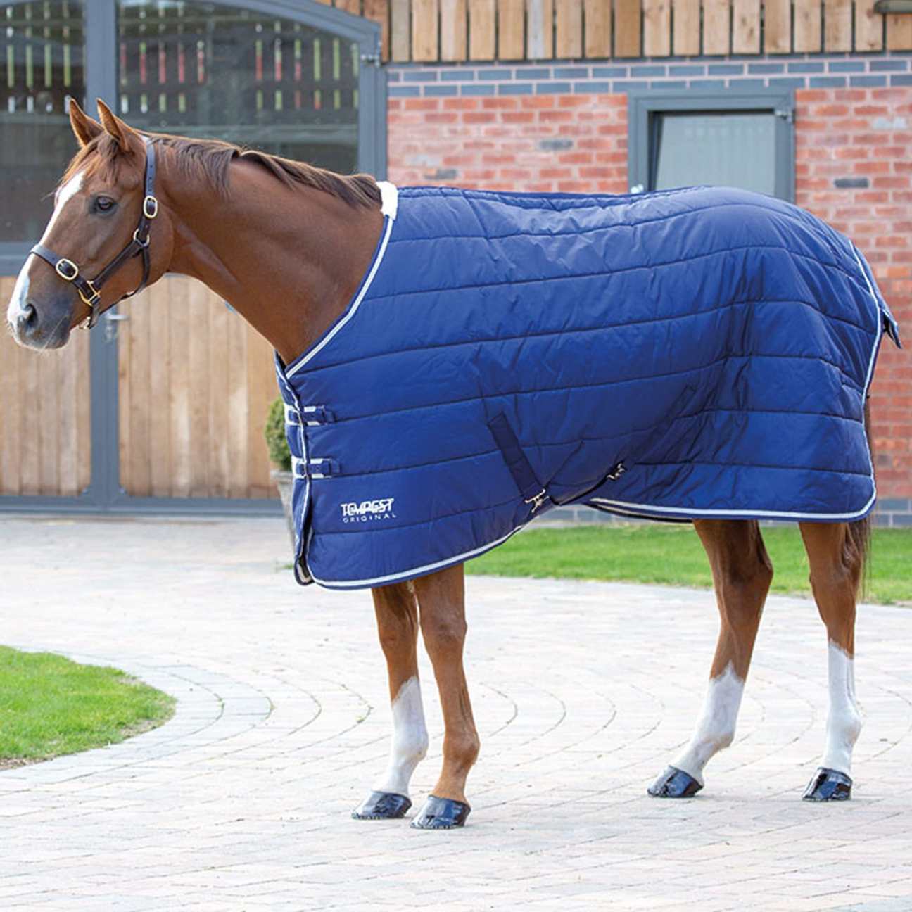 Stable Rugs | Horse Stable Rugs with Free UK Delivery* | EQUUS