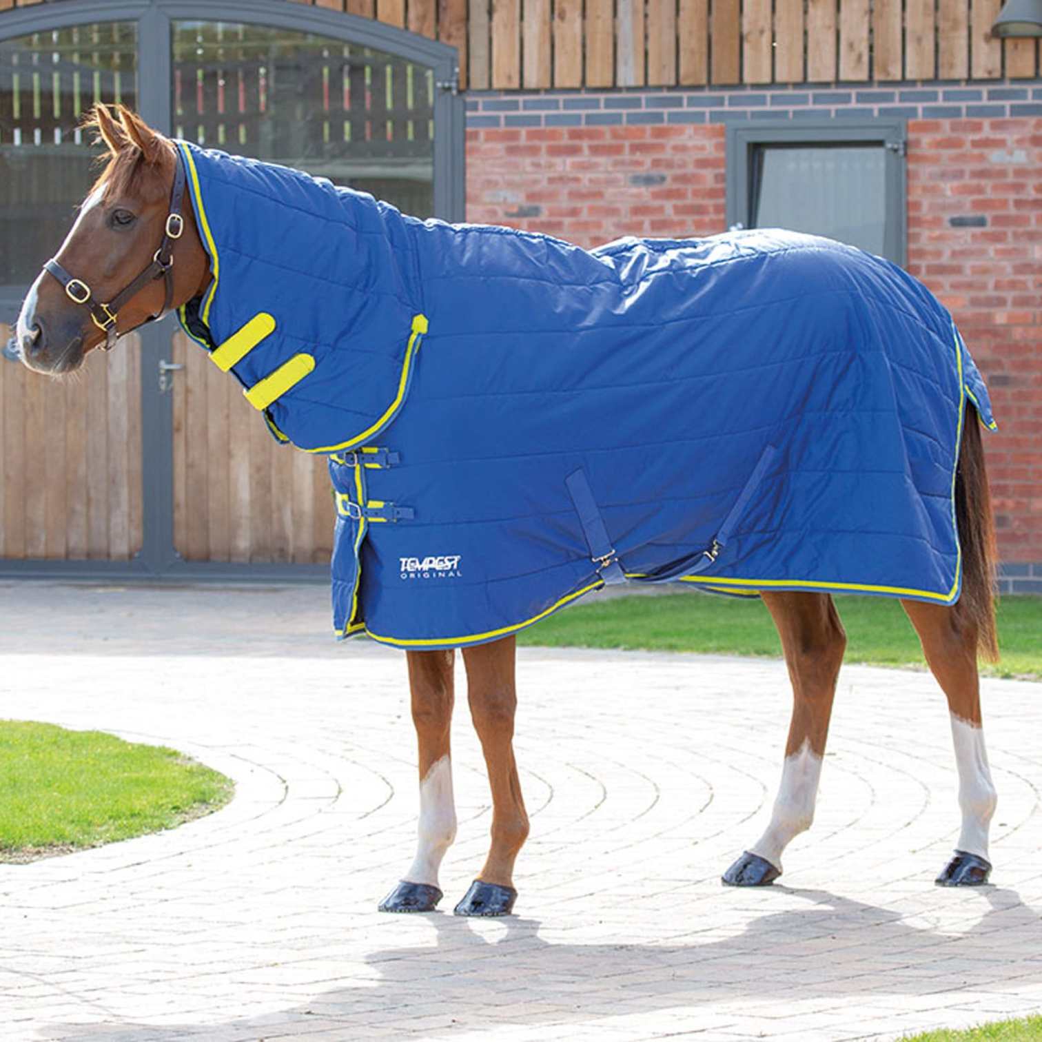 Stable Rugs | Horse Stable Rugs with Free UK Delivery* | EQUUS