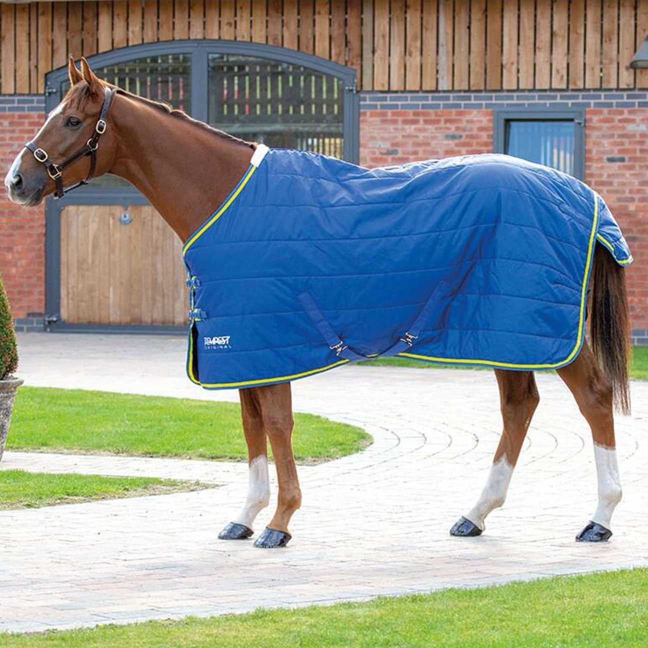Stable Rugs | Horse Stable Rugs with Free UK Delivery* | EQUUS