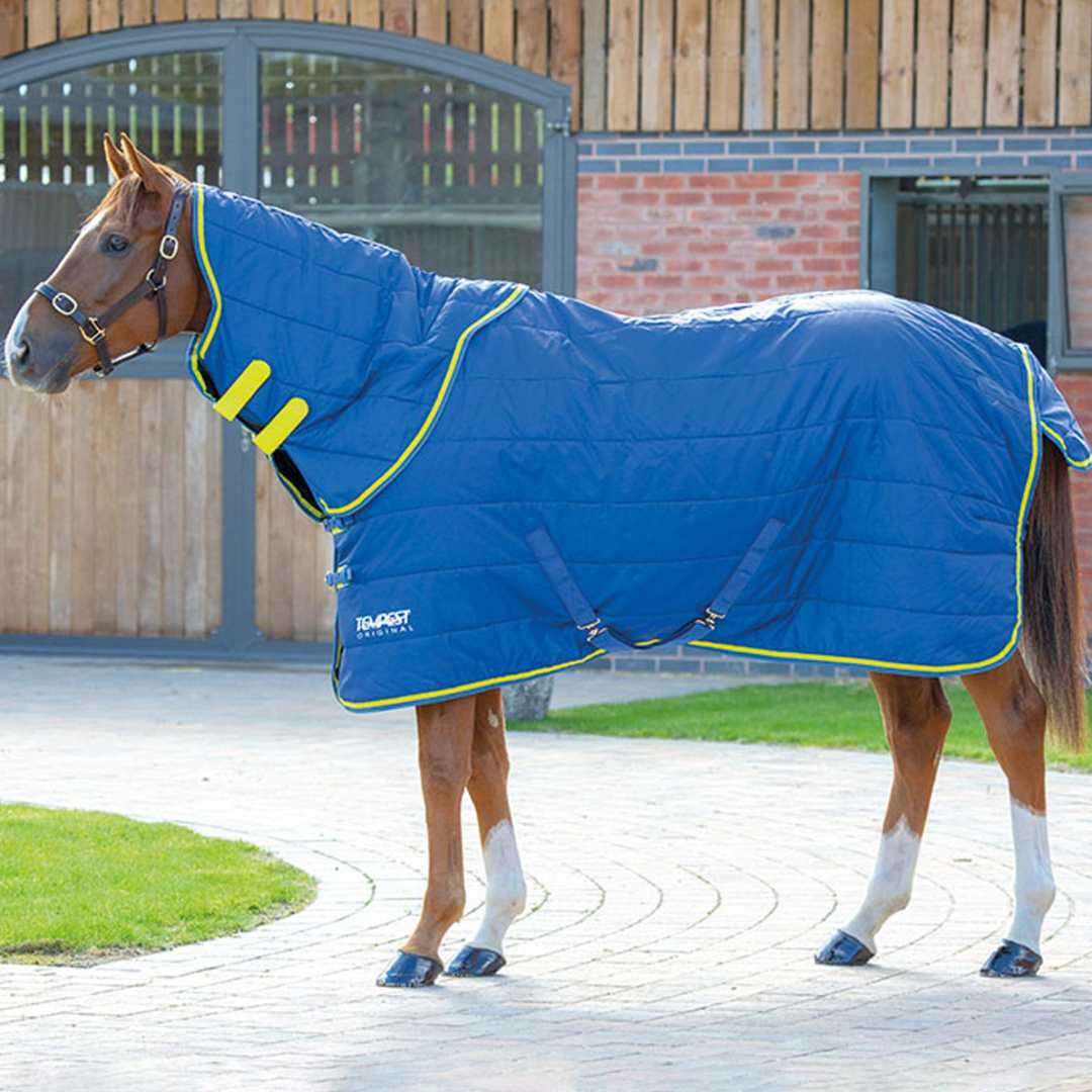 Stable Rugs | Horse Stable Rugs with Free UK Delivery* | EQUUS
