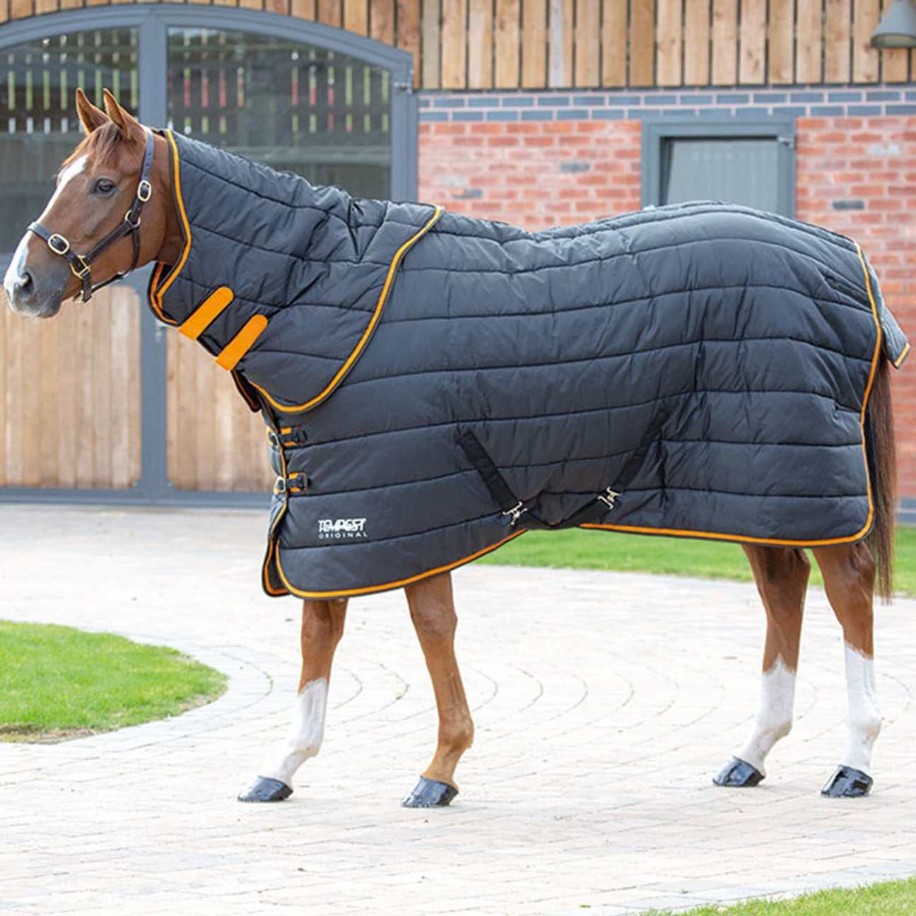 Stable Rugs | Horse Stable Rugs with Free UK Delivery* | EQUUS