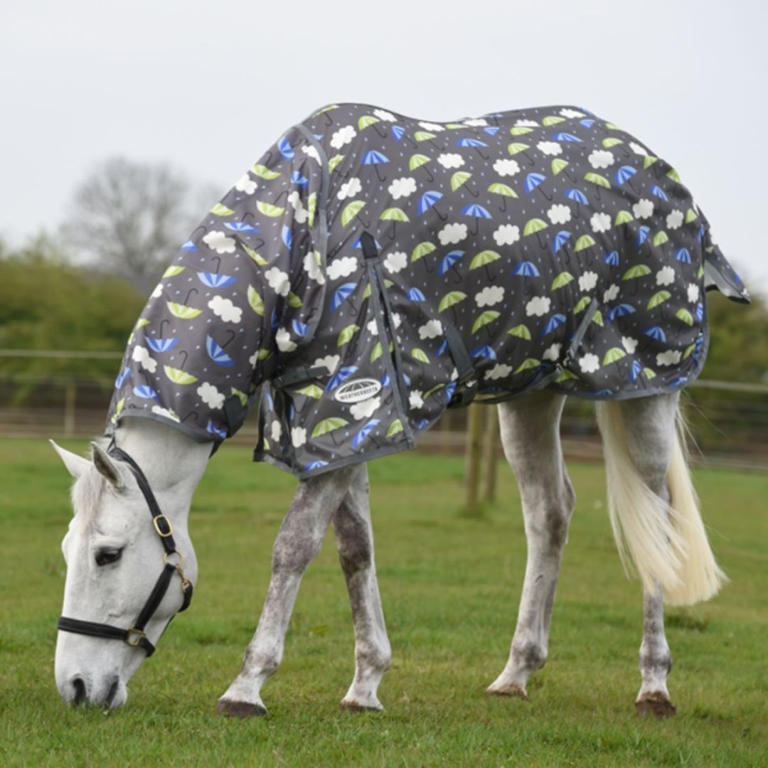 Horse Fly Rugs | Fly Rugs and Sweet Itch Rugs For Horses | EQUUS