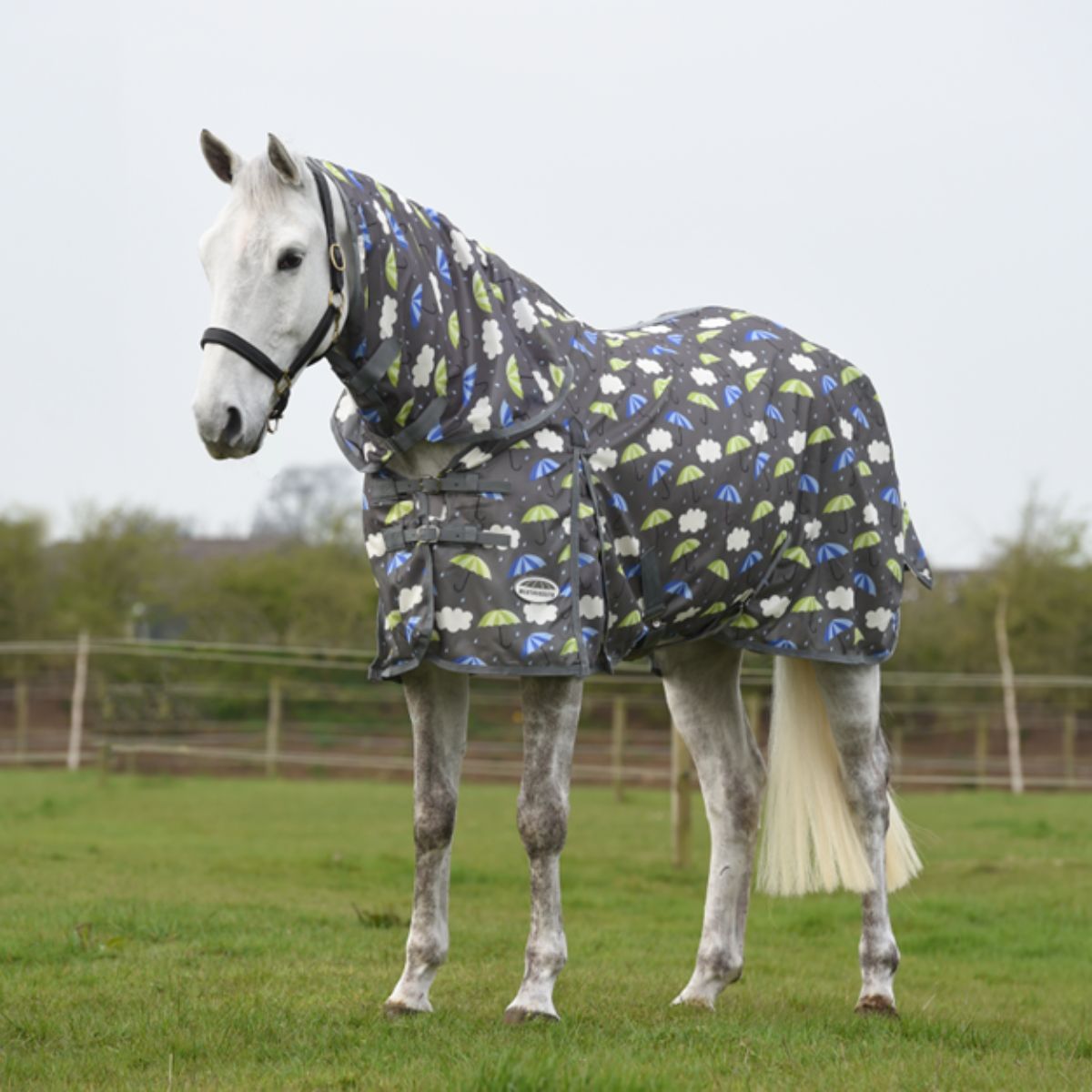 Horse Fly Rugs | Fly Rugs and Sweet Itch Rugs For Horses | EQUUS