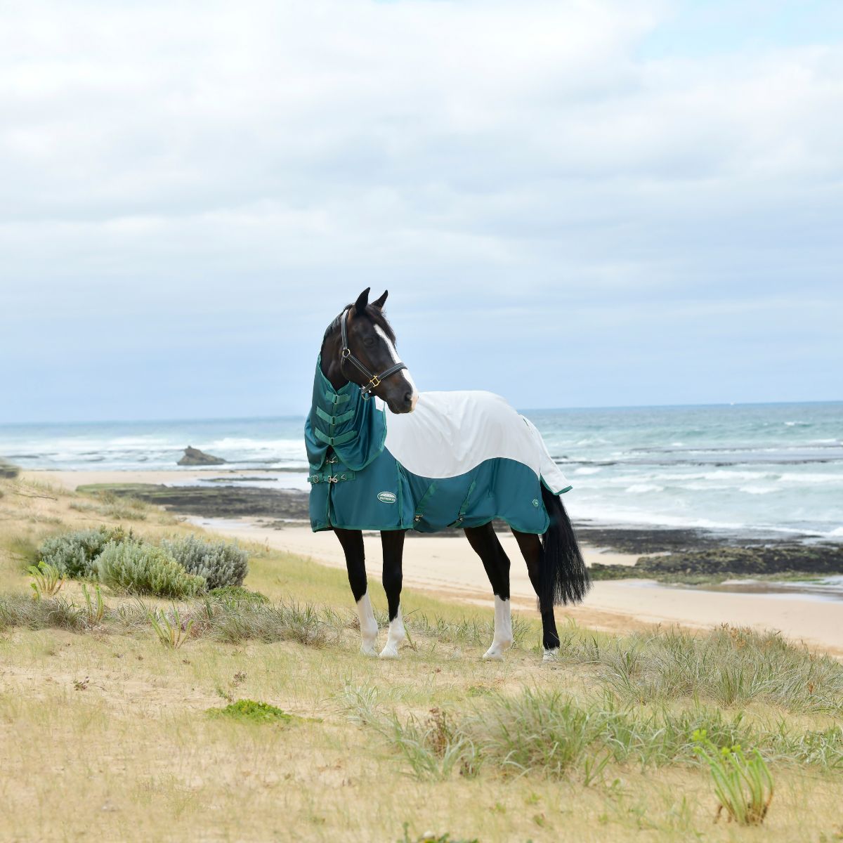 Horse Fly Rugs | Fly Rugs and Sweet Itch Rugs For Horses | EQUUS