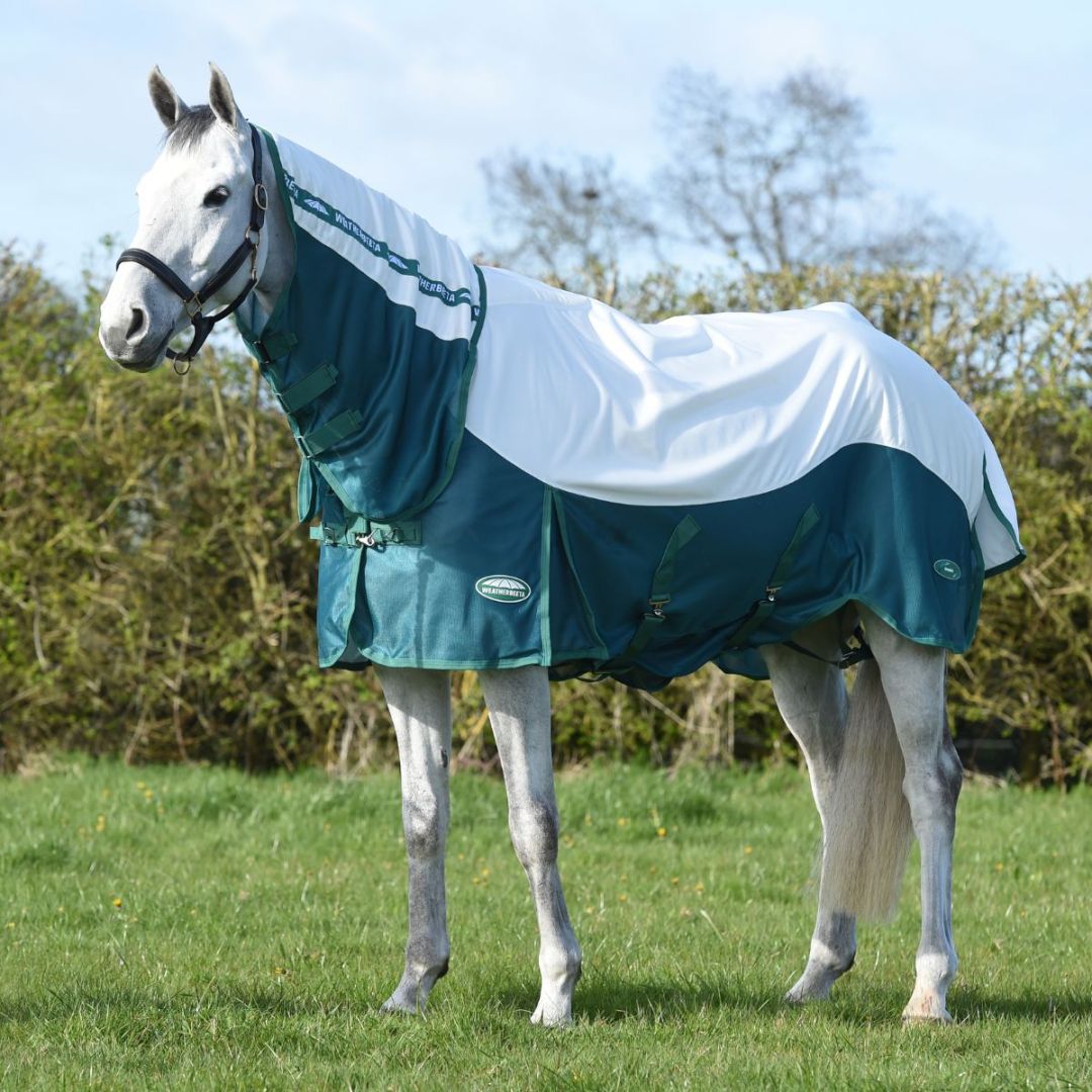 Horse Fly Rugs | Fly Rugs and Sweet Itch Rugs For Horses | EQUUS