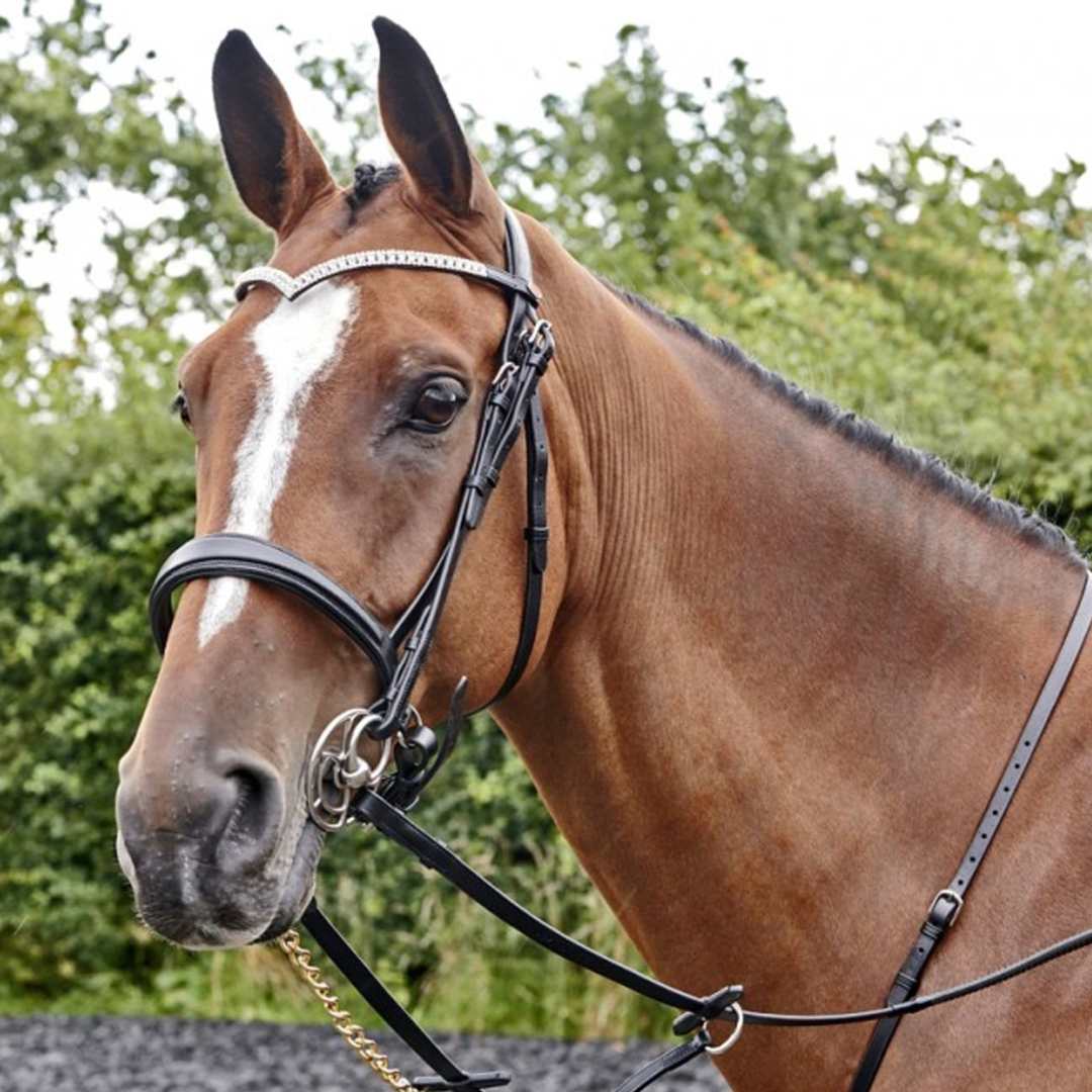 Bridles | Horse Bridles For Sale with Free UK Delivery* | EQUUS