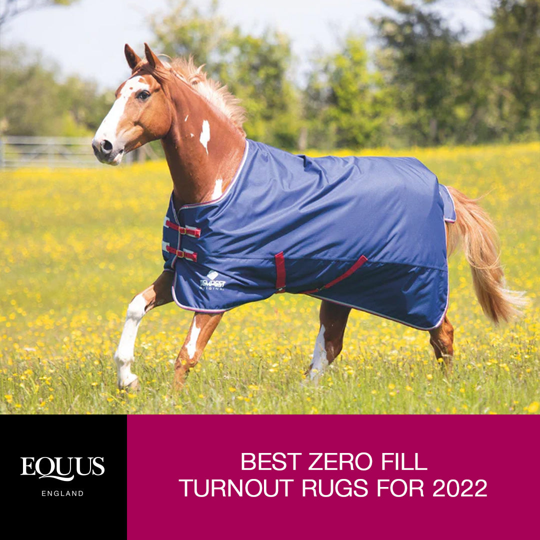 Best Zero Fill Turnout Rugs for 2022