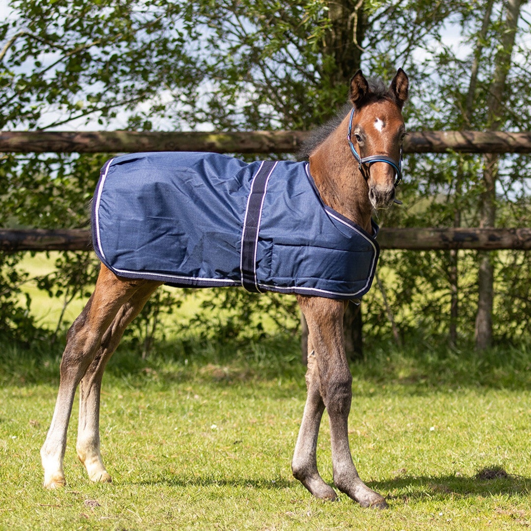 Turnout Rugs | Horse Turnout Rugs | EQUUS