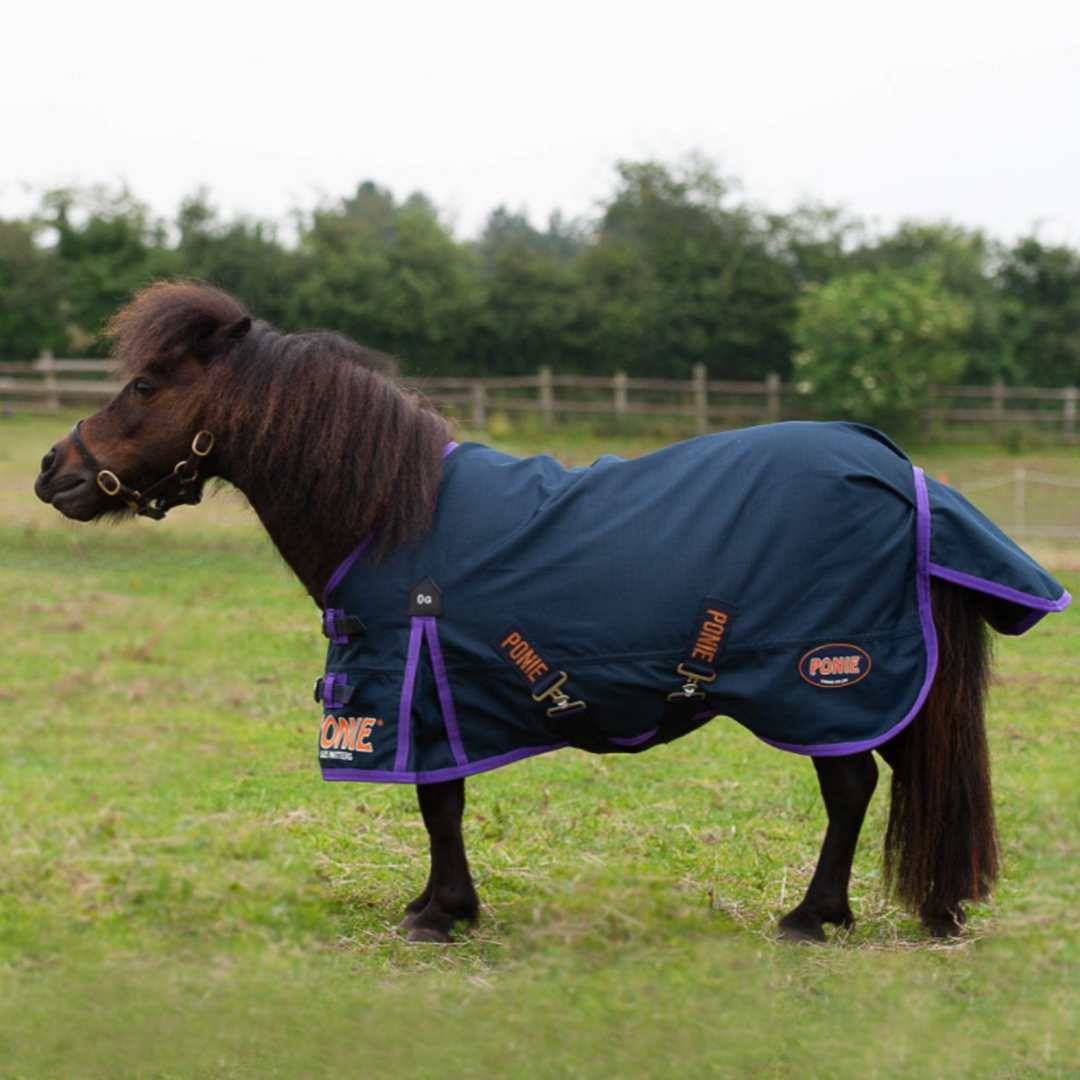 4'9 Turnout Rugs | 4ft9 Horse Turnout Rugs with Free UK Delivery* | EQUUS