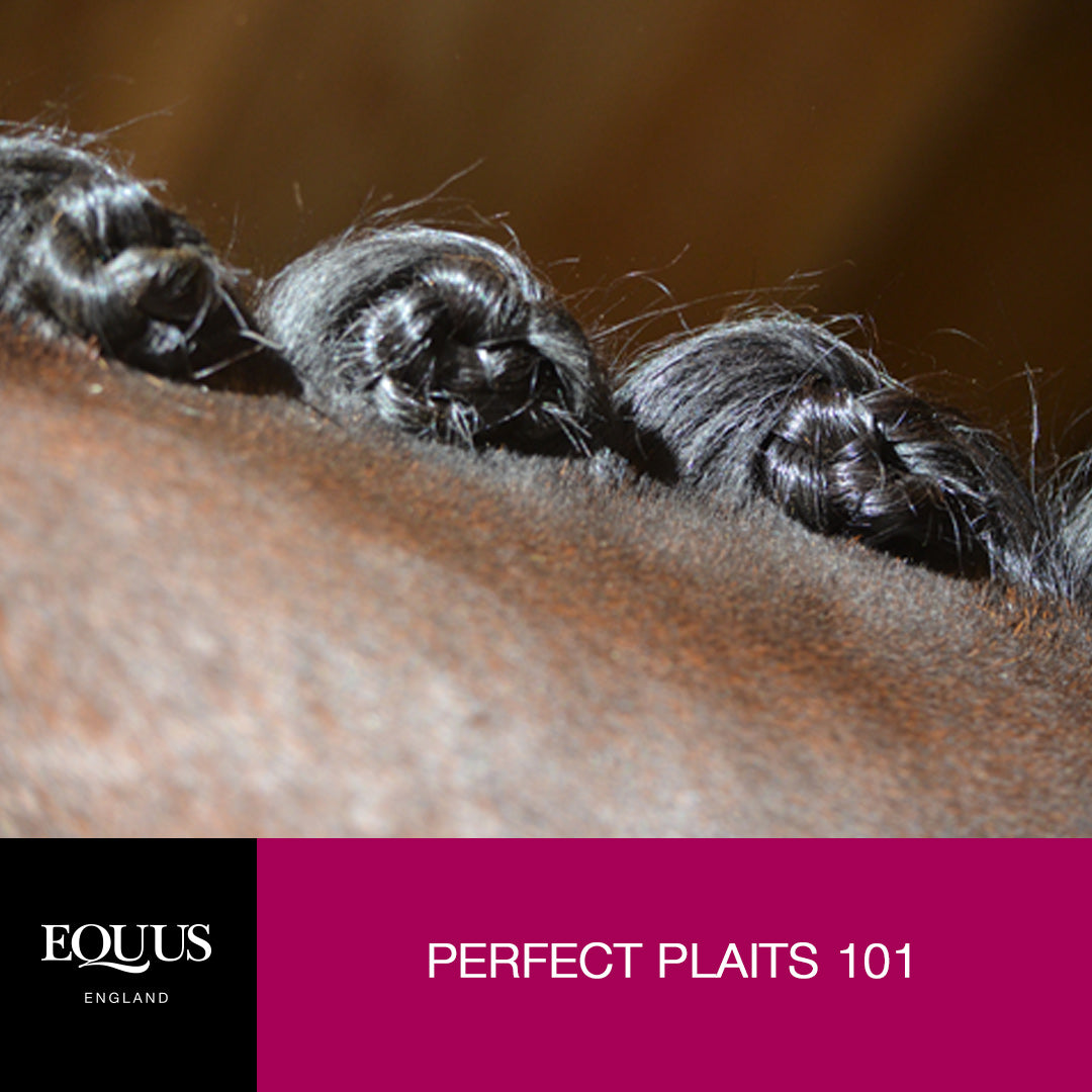 Perfect Plaits 101