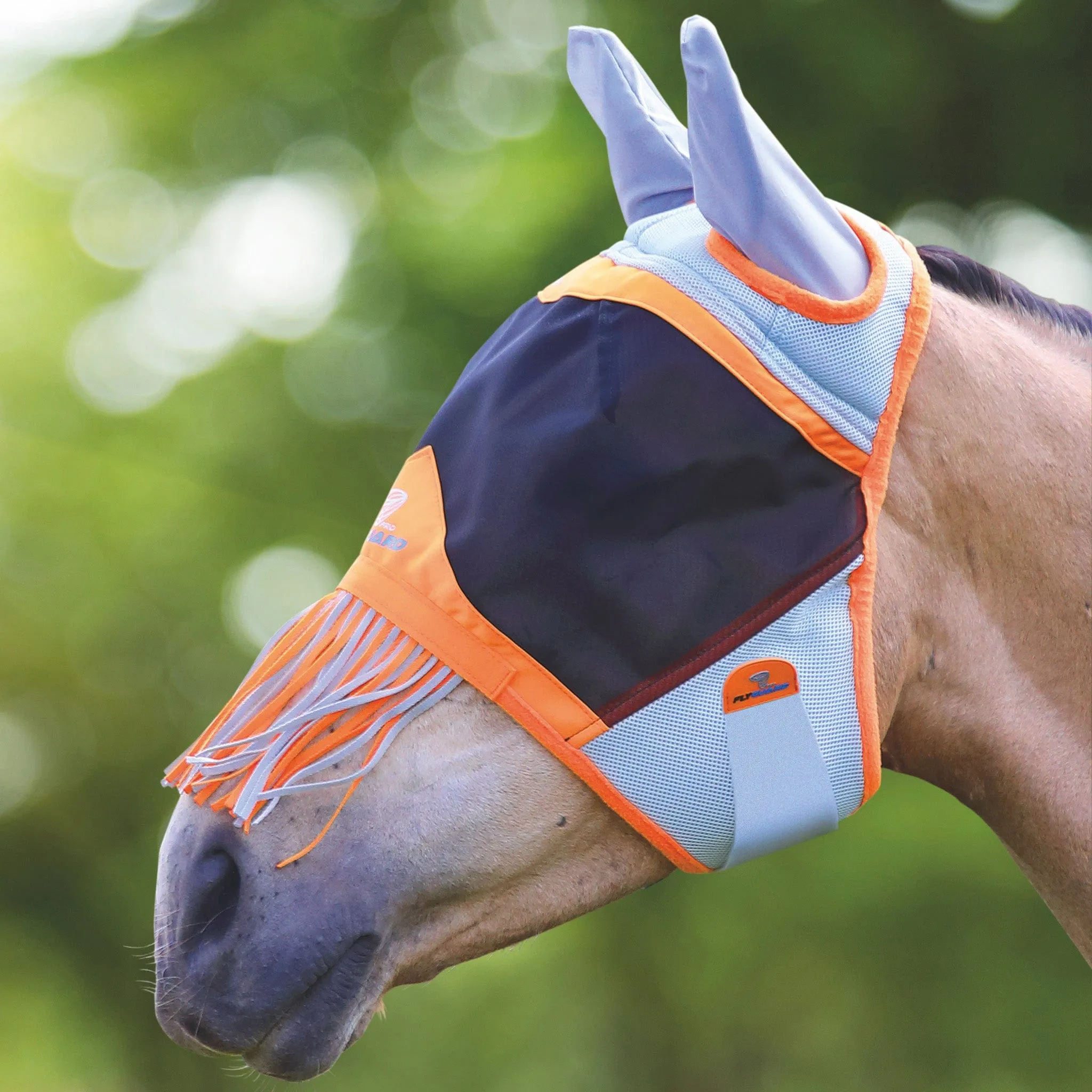 Horse accessories for sale store