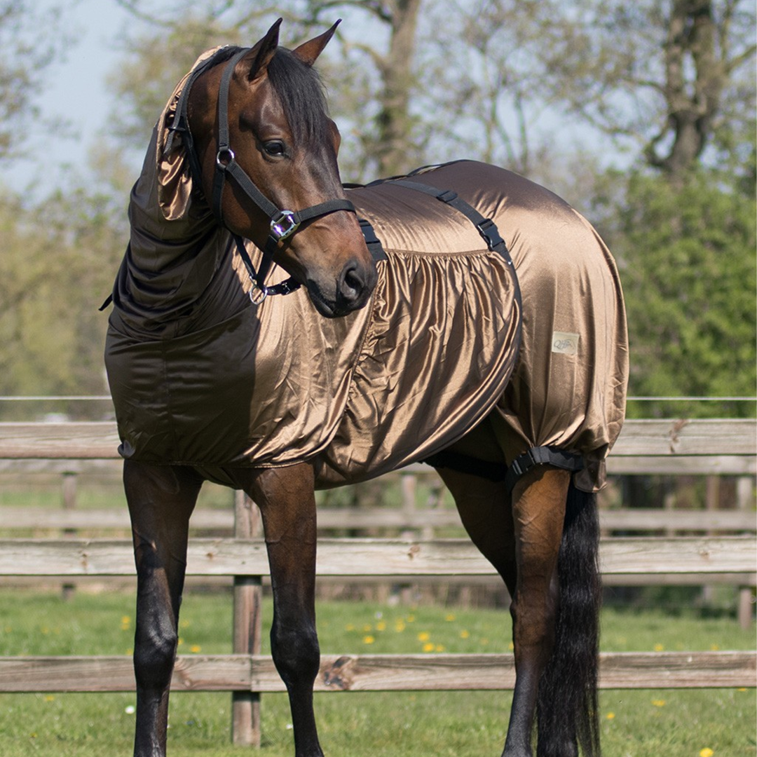 Horse Fly Rugs | Fly Rugs and Sweet Itch Rugs For Horses | EQUUS