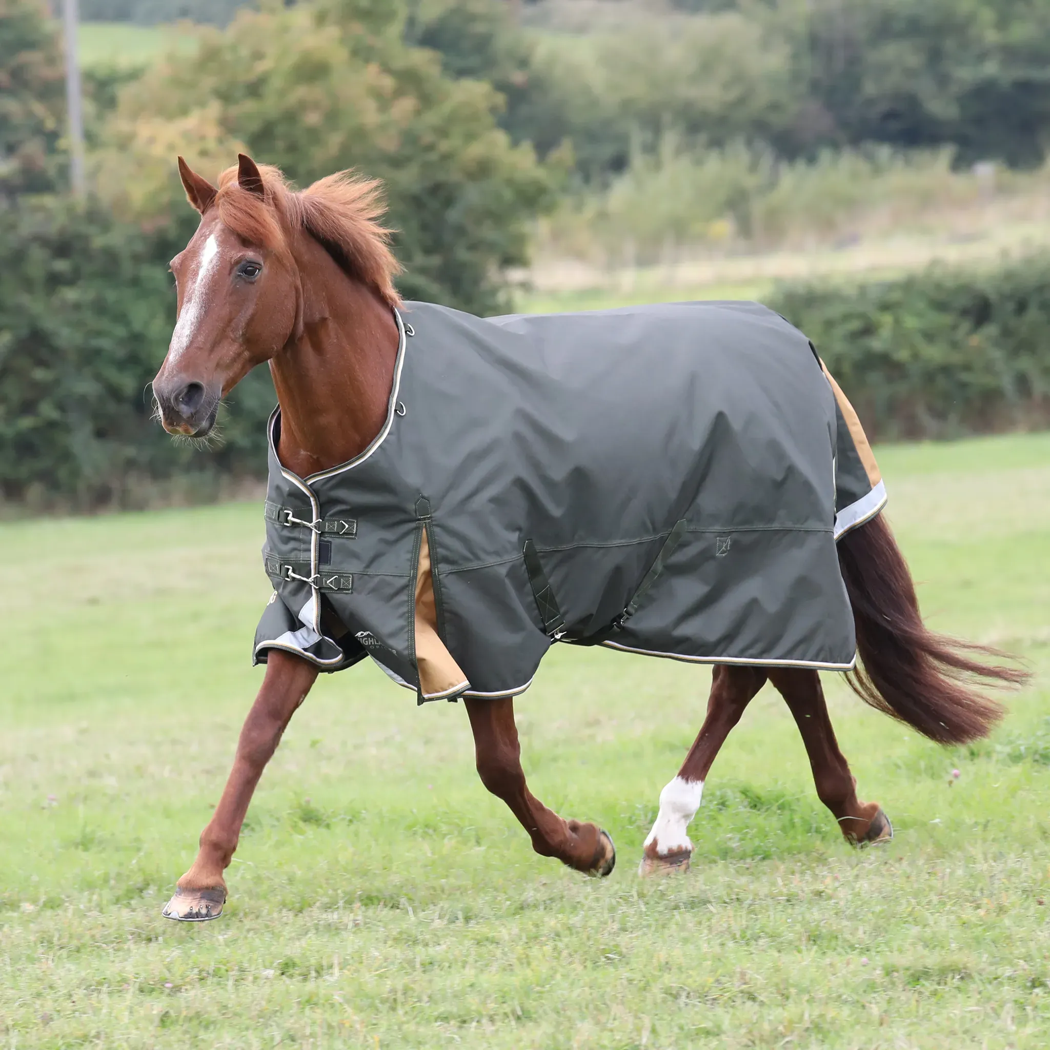 Shop equestrian clothing online. Best service & free UK delivery.