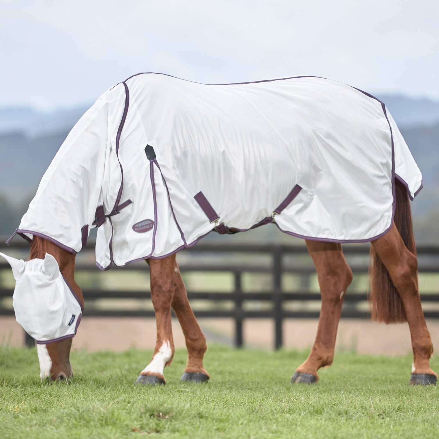 Weatherbeeta ComFiTec Essential Mesh II Combo Fly Rug | EQUUS