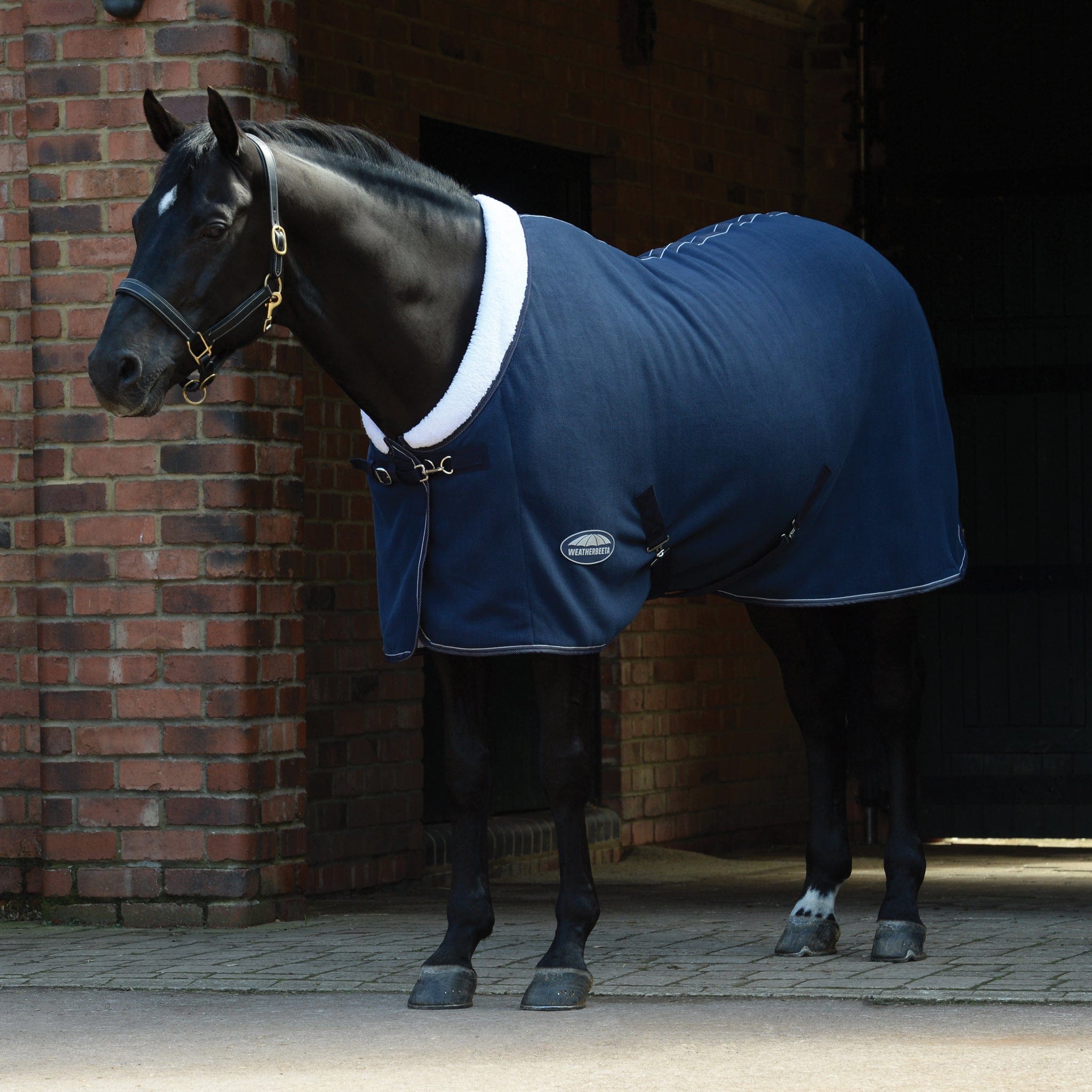 Horse cooler store