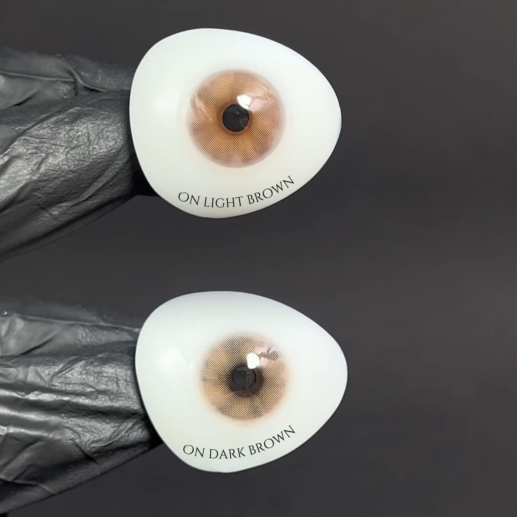 Echo Hazel Contact Lenses(12 months wear)