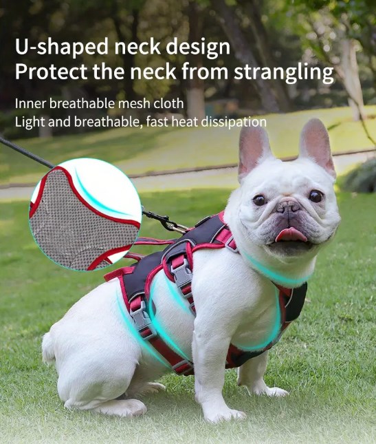 Anti-Escape Three-Piece Dog Chest and Back Harness