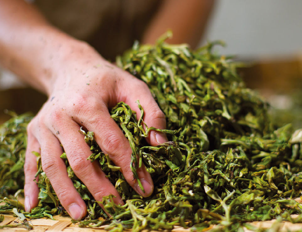 TAETEA is a leader in China' s puer tea industry, founded in 1940