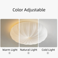 Full Spectrum Creative Shell Style LED Acrylic Embedded Ceiling Light