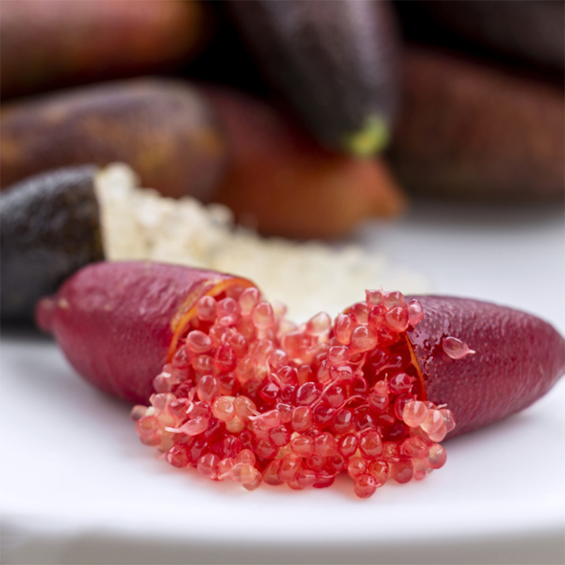 🎉 The Noble Among Lemons👑-Finger Lemon Seeds🍋-fridayw