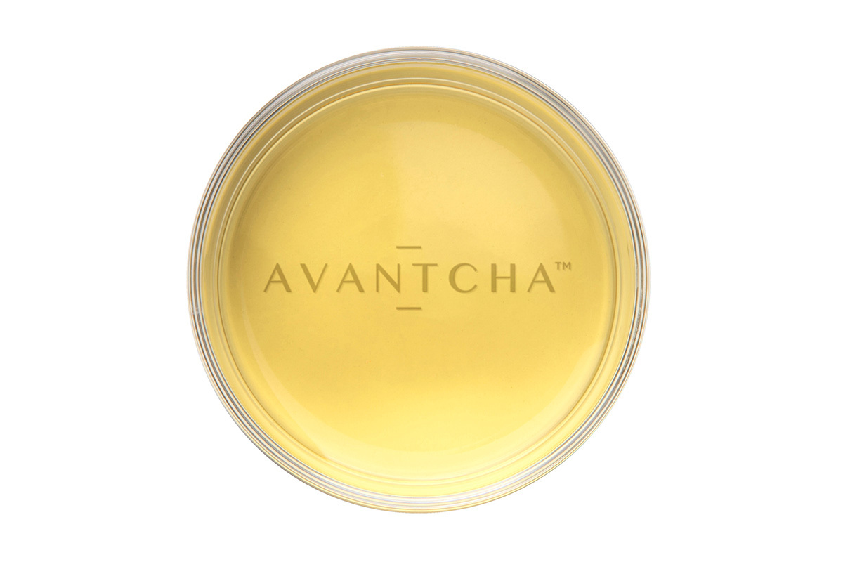 Organic Spring Mao Feng | AVANTCHA™ Tea