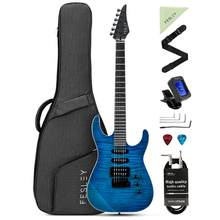 Fesley FDK800 Electric Guitar – Fesleymusic
