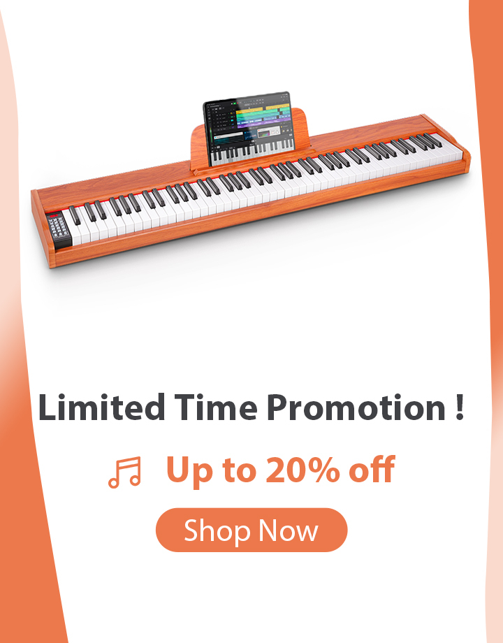 Fesley Musical Instruments Official Website – Fesleymusic
