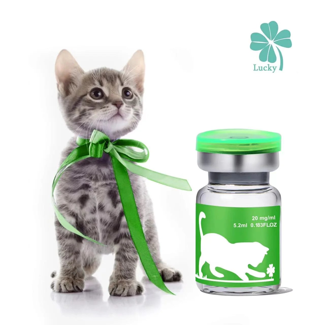 FIP Cats Treatment Care – MeowCare