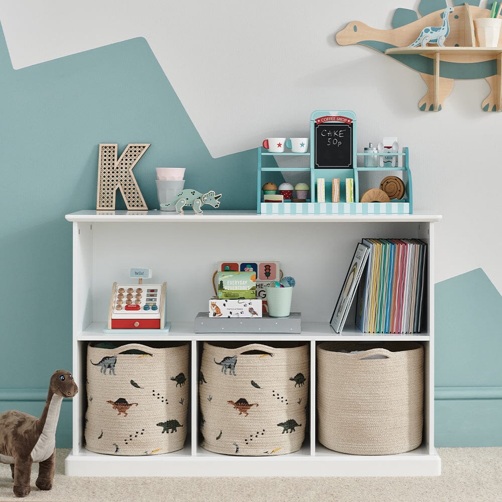 Dinosaur cube storage store
