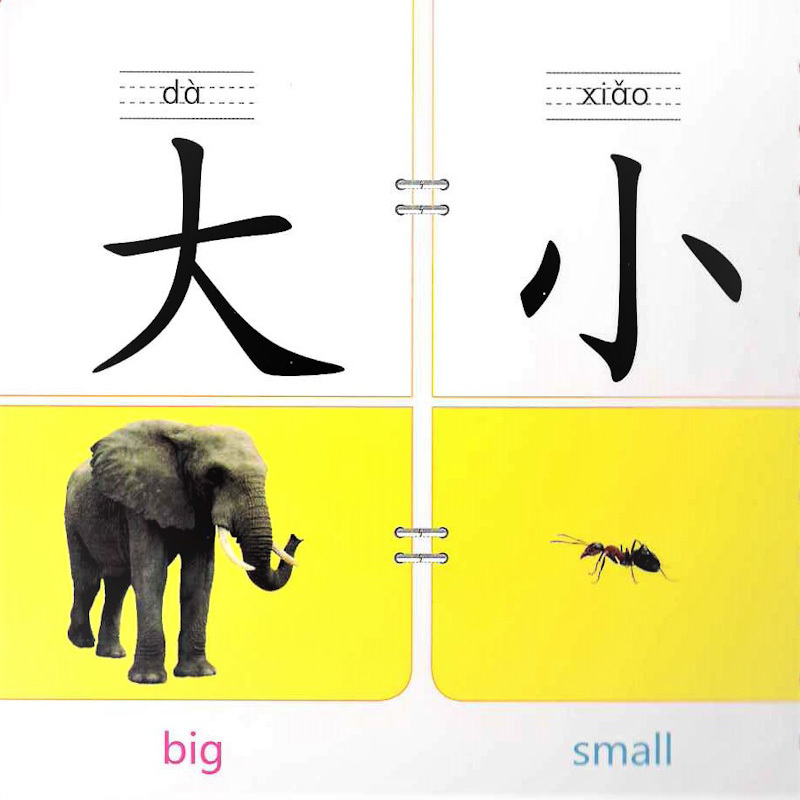 Cool! Baby Flashcards: First Words 《看图识字》 – Bamboo Bilingual