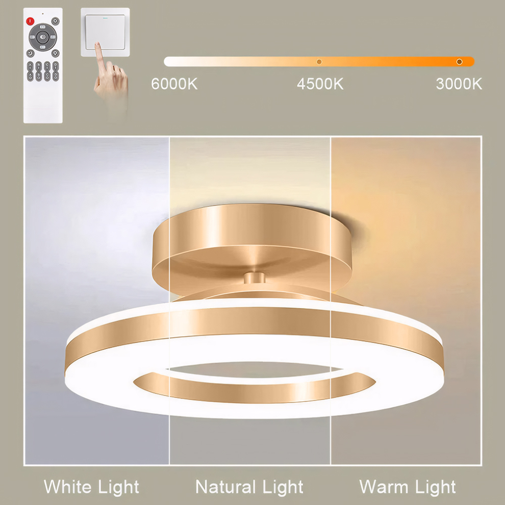 Homdiy Ceiling Lamp Modern Gold Iron Semi-Flush Hallway LED Ceiling ...