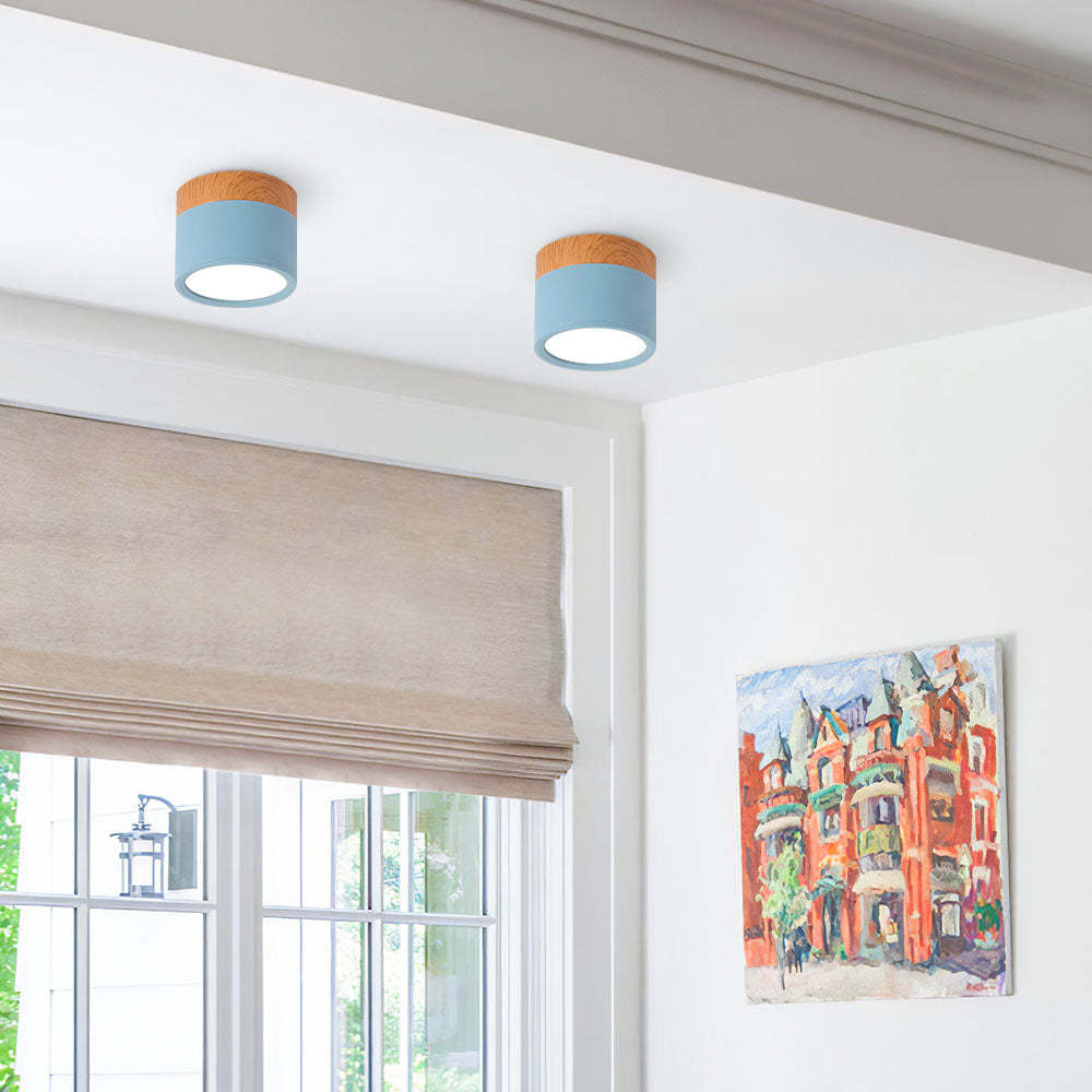 Homdiy Modern Ceiling Lamp Metal Cylinder Flush LED Ceiling Lights For ...