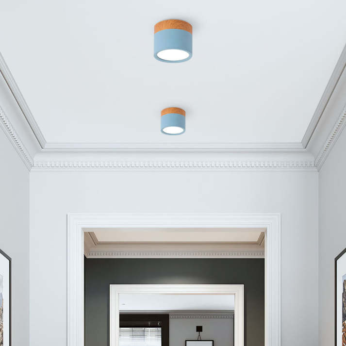 Homdiy Modern Ceiling Lamp Metal Cylinder Flush LED Ceiling Lights For ...