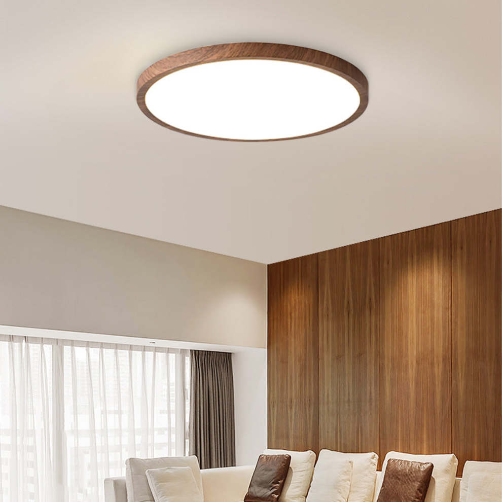 LED Flush Ceiling Lights Round Modern Living Room Ceiling Lamp – Homdiy UK