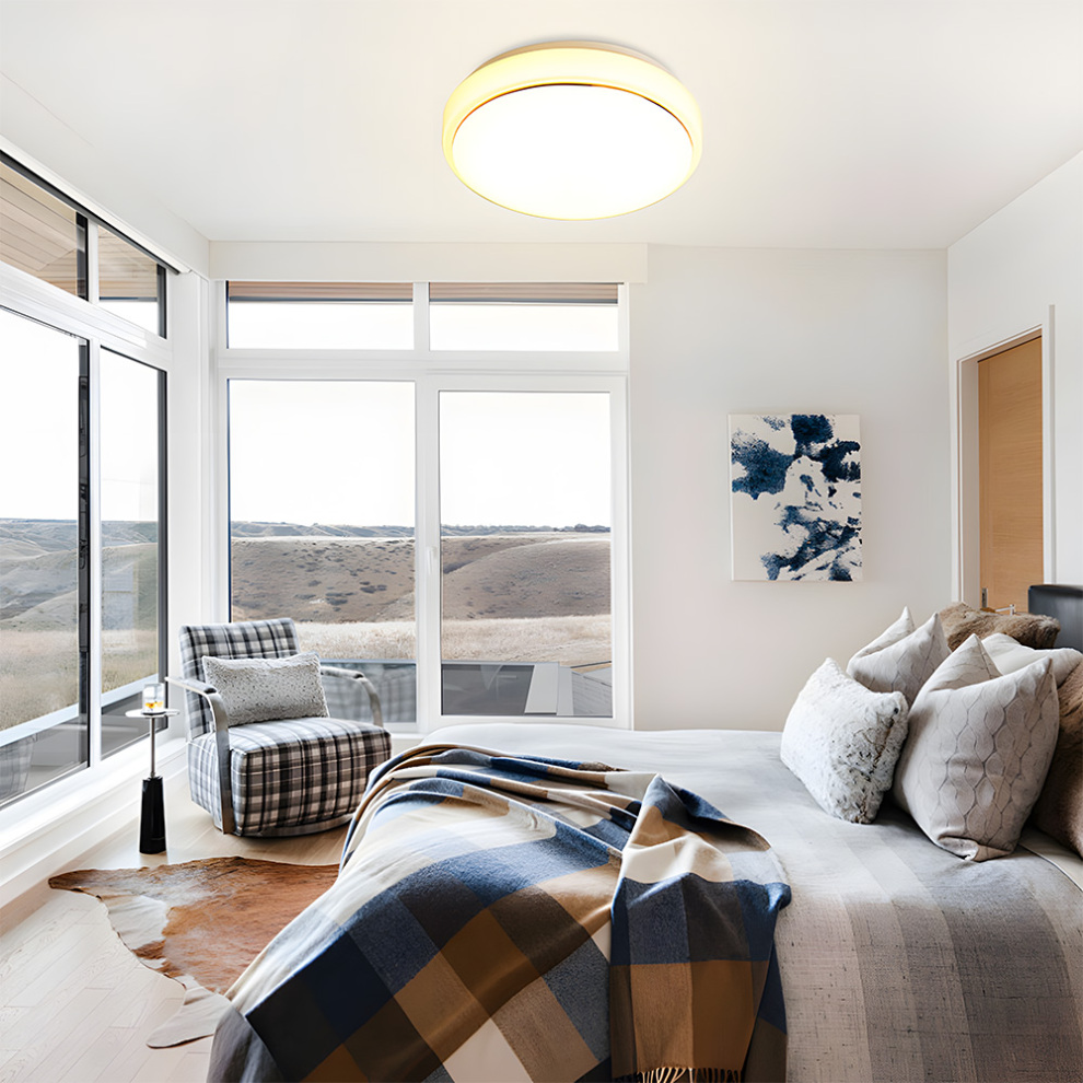Led ceiling light for living room-simple, white acrylic | Homdiy US ...