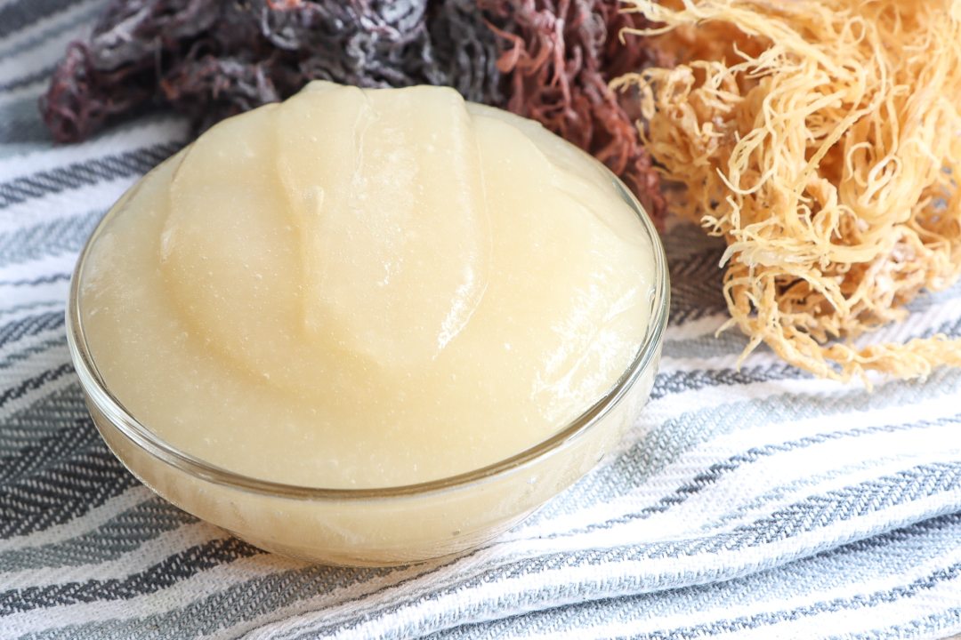 Sea Moss Gummies vs. Gel: Which Form Works Best for You? – Purejit