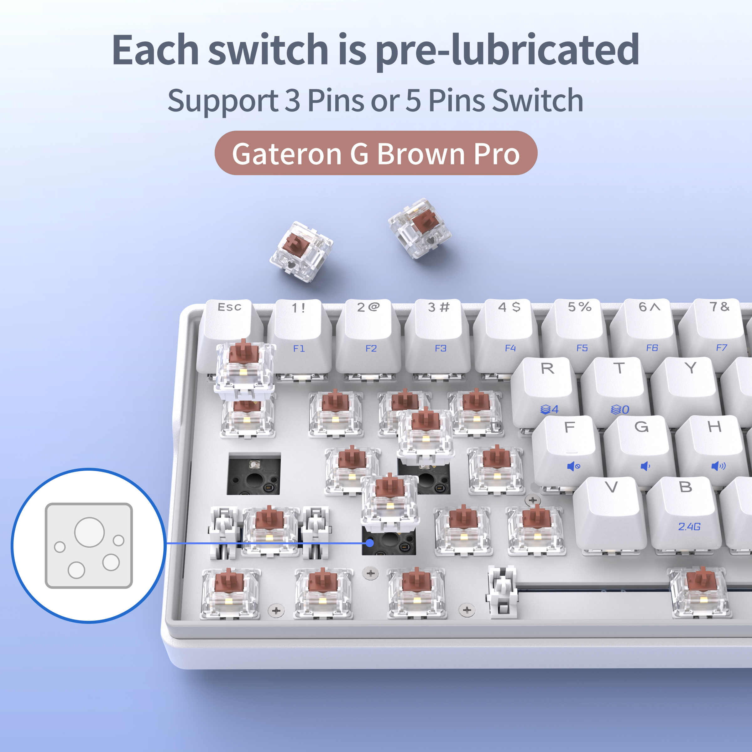 Kemove K61 Snowfox Mechanical Keyboard – KEMOVE
